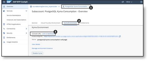 Postgresql How To Deploy Postgresql On A Kyma En Sap Community