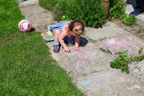 Assiduous And Carnivorous Trees Derrickjknight