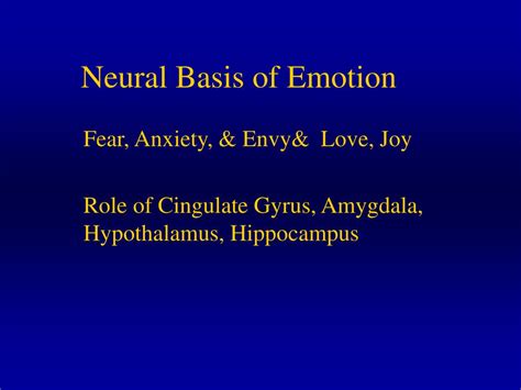 Ppt Hypothalamus And Limbic System Powerpoint Presentation Free