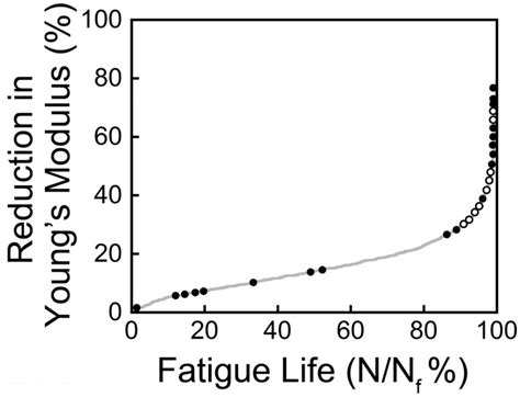 Cyclic Loading Was Stopped After Different Amounts Of Fatigue Loading Download Scientific