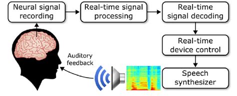 Principle Of A Speech Brain Computer Interface Download Scientific Diagram