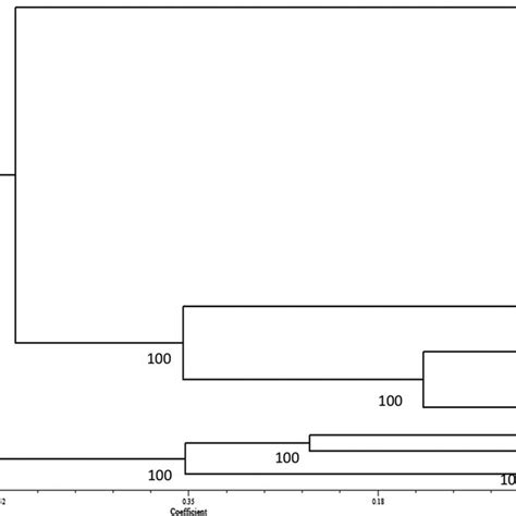 Dendrogram Derived From Unweighted Pair Group Methods Using Arithmetic