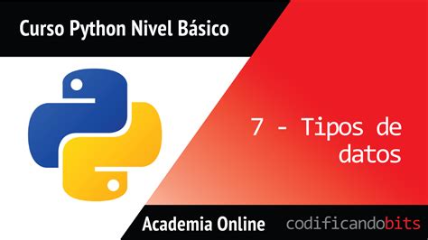 Curso Python Nivel Básico 7 Tipos De Datos Codificando Bits