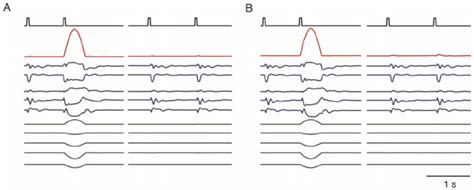 An Example Input Output Task Implemented In A Network With Feedback A