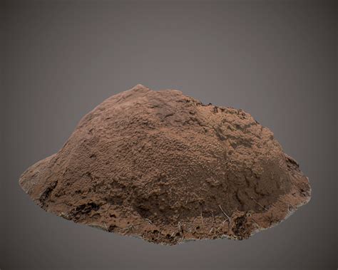 Anthill 3d Model 19 Obj Free3d