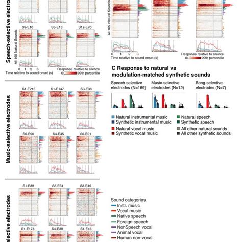 A 3 D Rendering Of The Functional Activation Pattern In Our Download Scientific Diagram