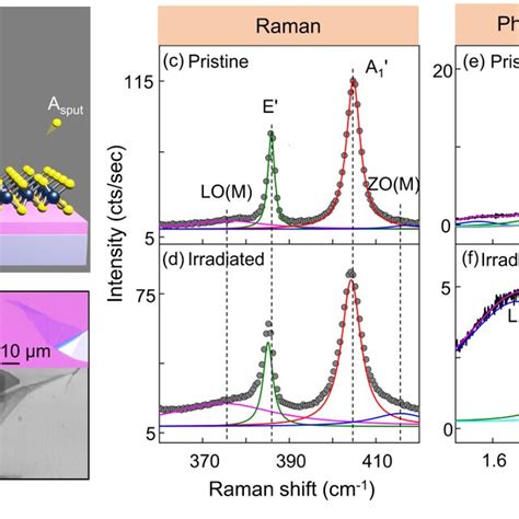 Evolution Of Raman Spectra Of Ml Mos2 With Electron Dose A Series Of
