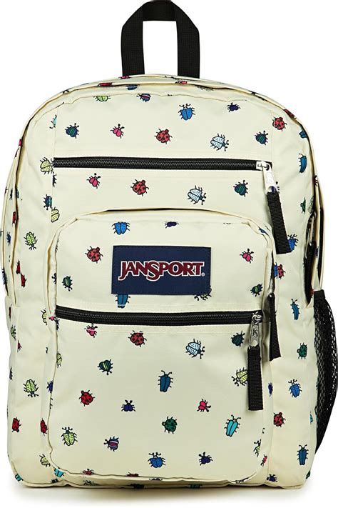 Jansport Laptop Backpack Computer Bag With 2 Compartments