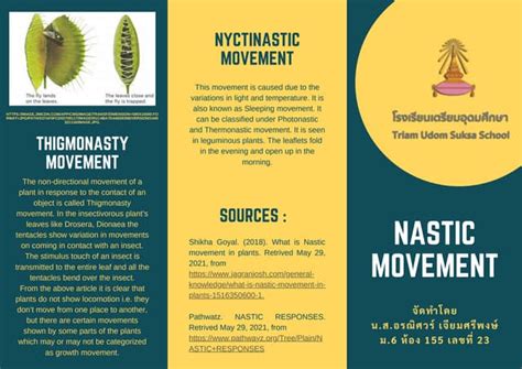 Nastic Movement Pdf
