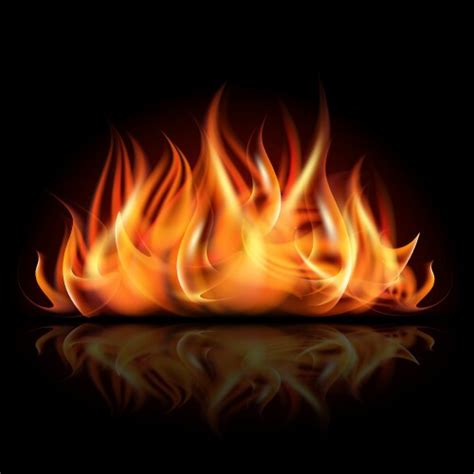Realistic Green Fire Flames Poster Abstract Vector Image