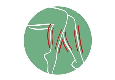 Paroven Our Solution Paroven