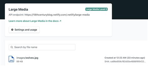 Support Guide Troubleshooting Your Netlify Large Media Configuration Page 3 Support Guides