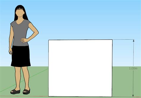 Unity Manual Sketchup Import Settings Window