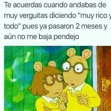 La Prima Meme By Donkakas69 Memedroid