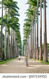 Woman Man Walking Down Path Lined Stock Photo 2057159933 Shutterstock