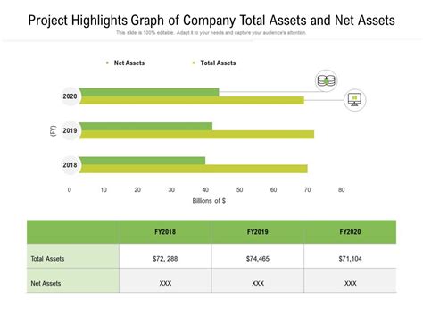 Project Highlights Graph Of Company Total Assets And Net Assets