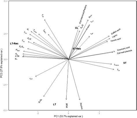 Principal Component Analysis PCA Of Gas Exchange Cell Wall And Download Scientific Diagram