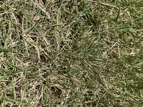 3377 Fdae 7 Af4 4 F64 B3 B0 D2 B5 B95 A99 A4 — Postimages