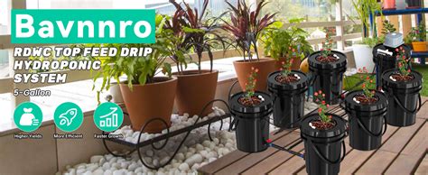 Rdwc Top Feed Drip Hydroponics Systems 6 Buckets
