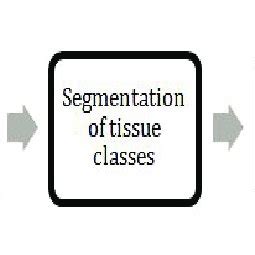 Proposed Algorithm Pipeline Download Scientific Diagram