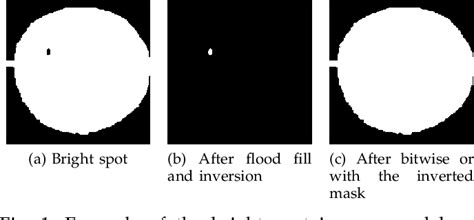 Figure 1 From An Automated Algorithm For Fruit Image Dataset Building