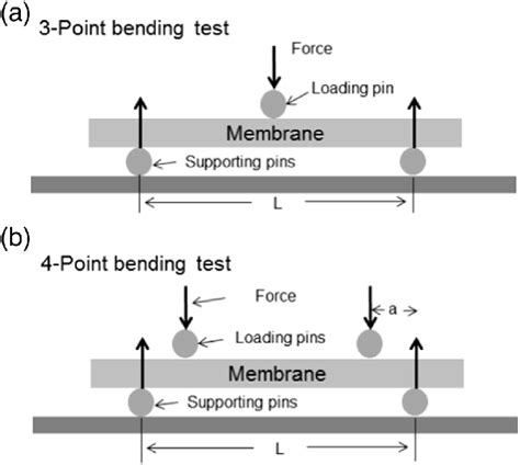 Flexure Testing At Geoffrey Schultz Blog