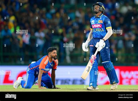 Chamindu Wickramasinghe Hi Res Stock Photography And Images Alamy