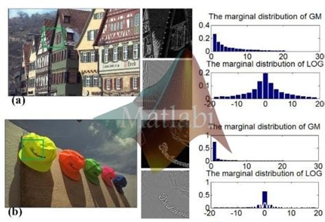 Blind Image Quality Assessment Using Joint Statistics Of Gradient