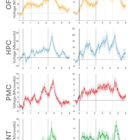 Fig S6 Phase Coherence Results Cannot Be Completely Derived From Erp Download Scientific