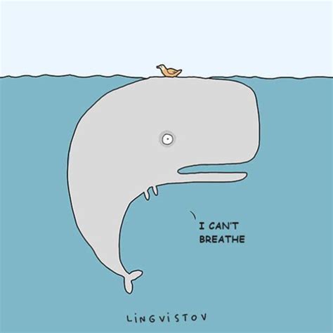 20 Brilliant Animal Comics From Artist Duo Lingvistov