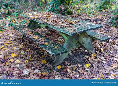 Leaves On Picnic Table 2 Stock Image Image Of Park 260885895