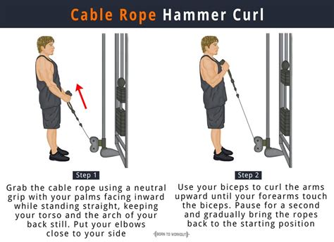 Cable Rope Hammer Curl Exercise For Making Your Arms Bigger