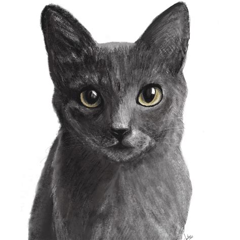 Hi Im Learning Digital Art And I Made My Kitten Maria Sofia Do You