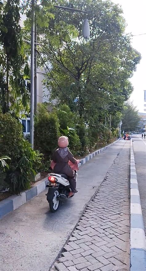 Deteksi Pelanggaran Object Detection Dataset And Pre Trained Model By