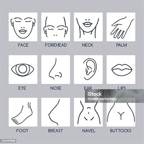 인체 아이콘의 일부 건강관리와 의술에 대한 스톡 벡터 아트 및 기타 이미지 건강관리와 의술 검은색 내부 Istock