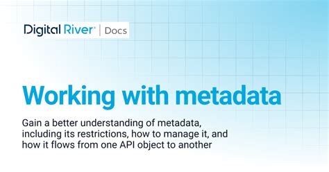 Working With Metadata Digital River Api References