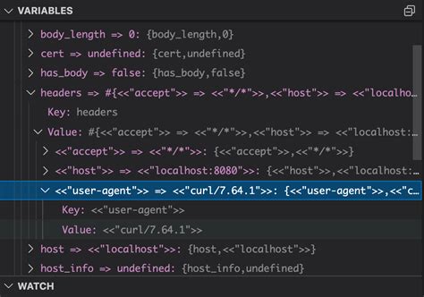 How To Use The Debugger Erlang Ls