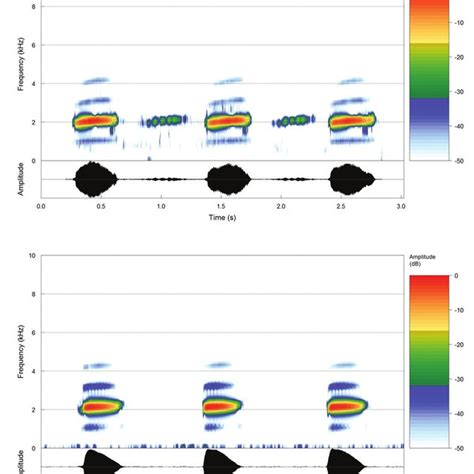 Above Audiospectrogram And Oscillogram Of Three Advertisement Calls Of