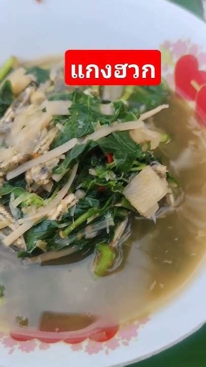 อาหารอีสาน แกงฮวก Youtube