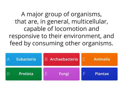 Classification Quiz