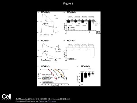 Volume Issue Pages December Ppt Download