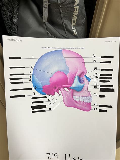 Figure 7 19 Diagram Quizlet