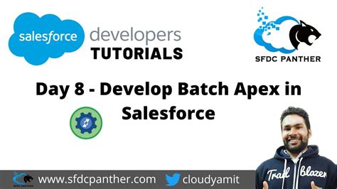 Day 8 Develop Batch Apex In Salesforce Salesforce Batchapex Sfdcpanther Askpanther