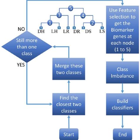Schematic Representation Of The Proposed Models Based On The Linkage