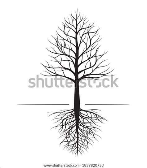 Shape Naked Tree Roots Vector Outline Stock Vector Royalty Free Shutterstock