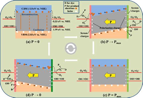 Schematic Illustration Of The Alternating Internal Electric Field In B