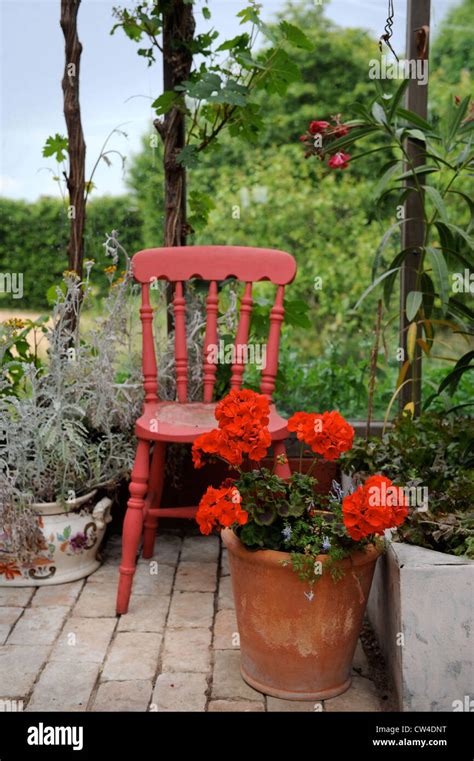 Pictures Of Potted Geraniums Moores Garden Center In Pots