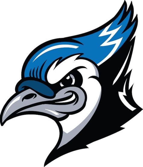 Premium Vector Blue Jay