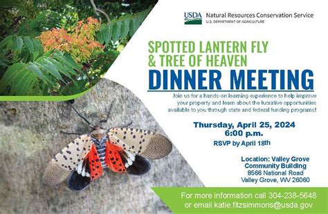 Spotted Lantern Fly And Tree Of Heaven Dinner Meeting Valley Grove