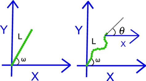 Left Panel The Zero Temperature Configuration Of The Grafted Wormlike